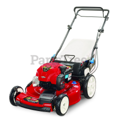 Toro 20339 - Toro 22" Recycler Walk-Behind Mower with SmartStow (SN ...